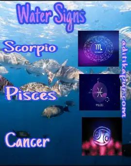 Everything About Water Signs You Need to Know – PANORAMIC RIPPLES